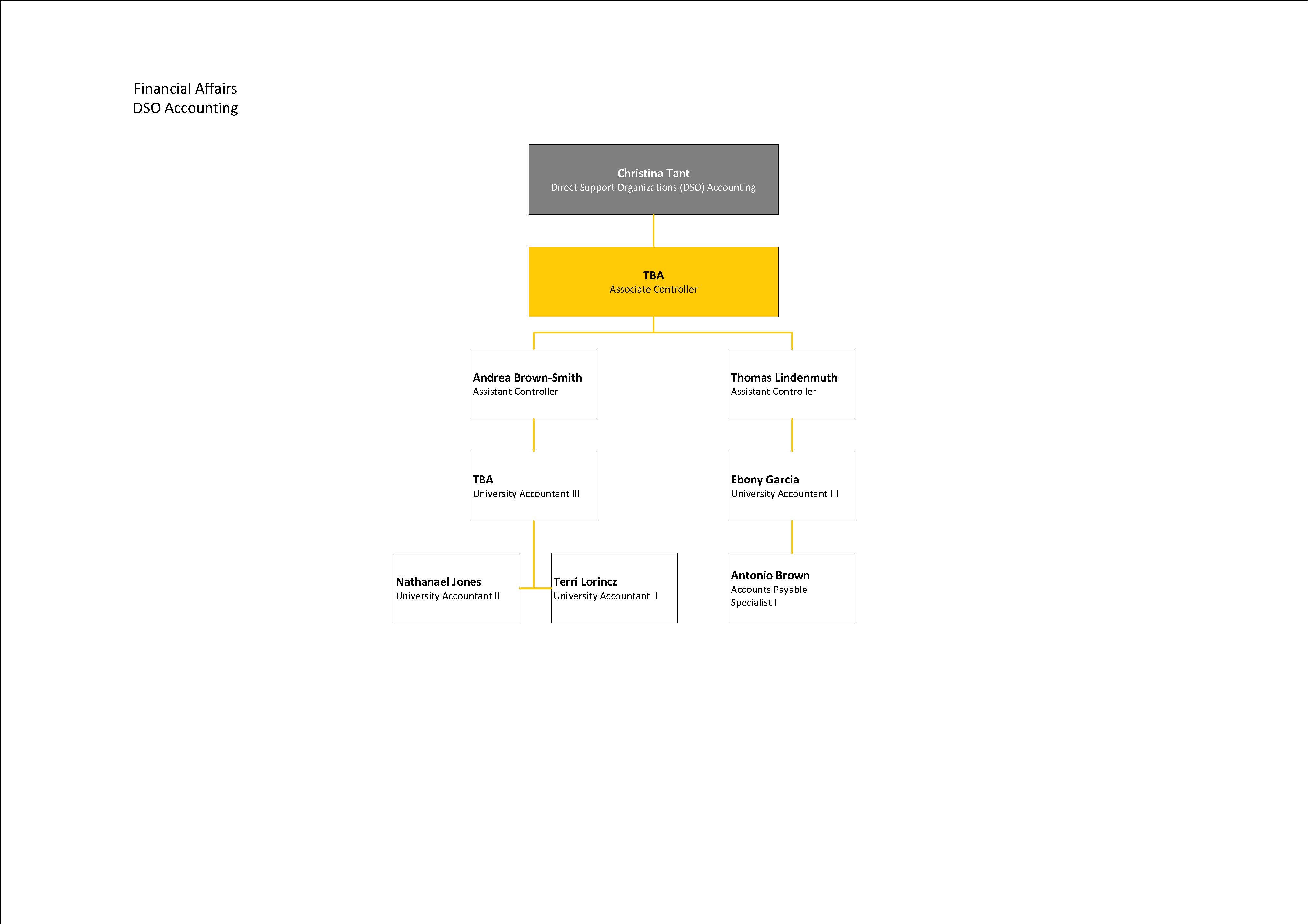 DSO: Org-Chart | Financial Affairs